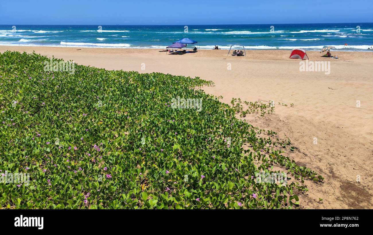 Cape Vidal, South Africa - 14 January 2023: people on the beach of Cape ... Cape Vidal, South Africa - 14 January 2023: people on the beach of Cape ...