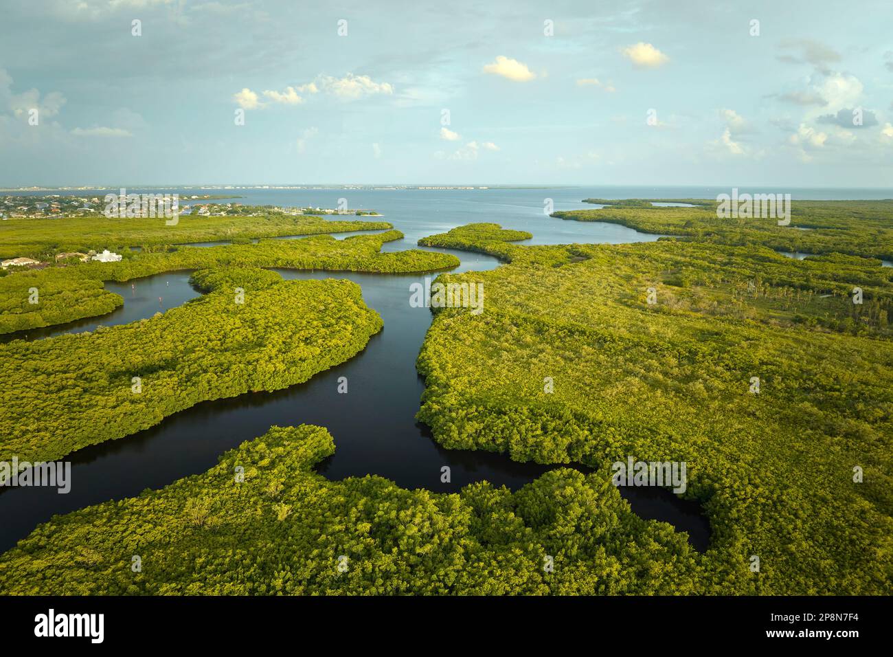 Overhead view of Everglades swamp with green vegetation between water ...