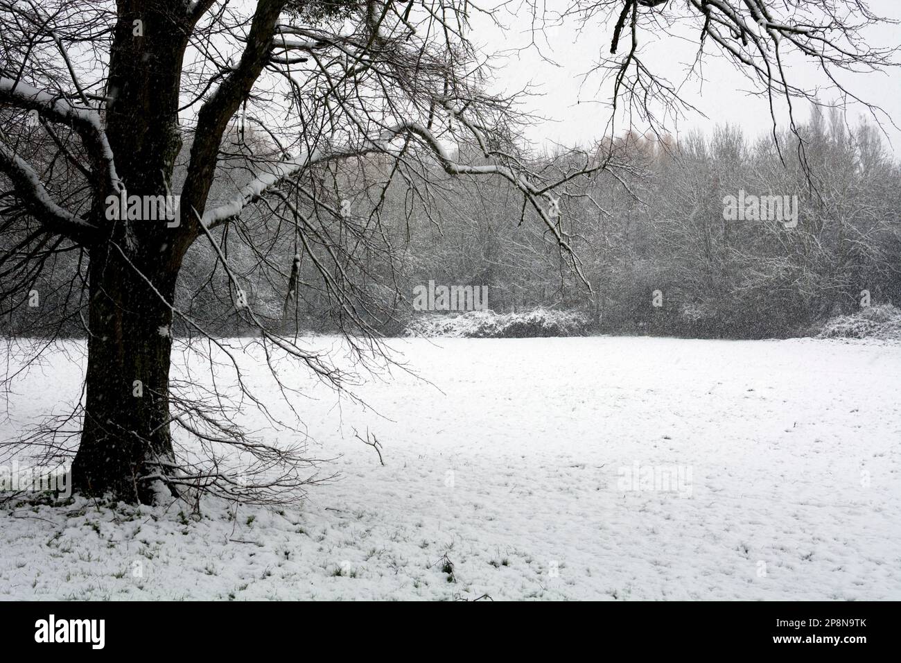 Snowy field england hi-res stock photography and images - Alamy