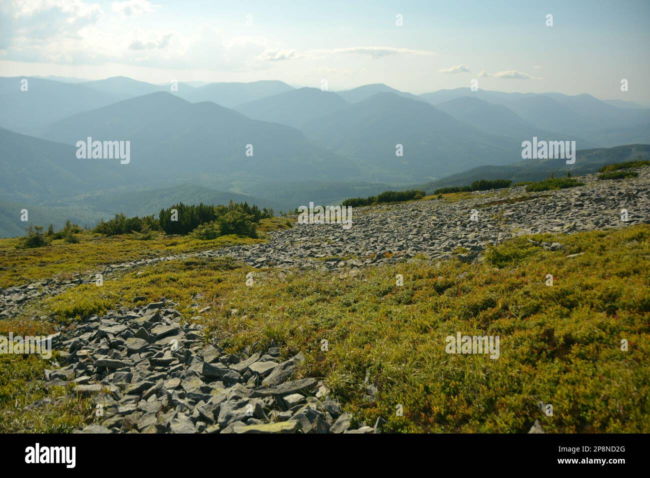 landscape of high mountains in Ukraine in the Carpathians Stock Photo ...