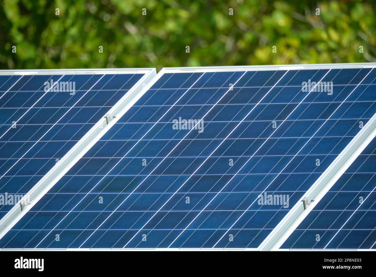 Solar photovoltaic panels mounted on stand-alone frame on backyard ...