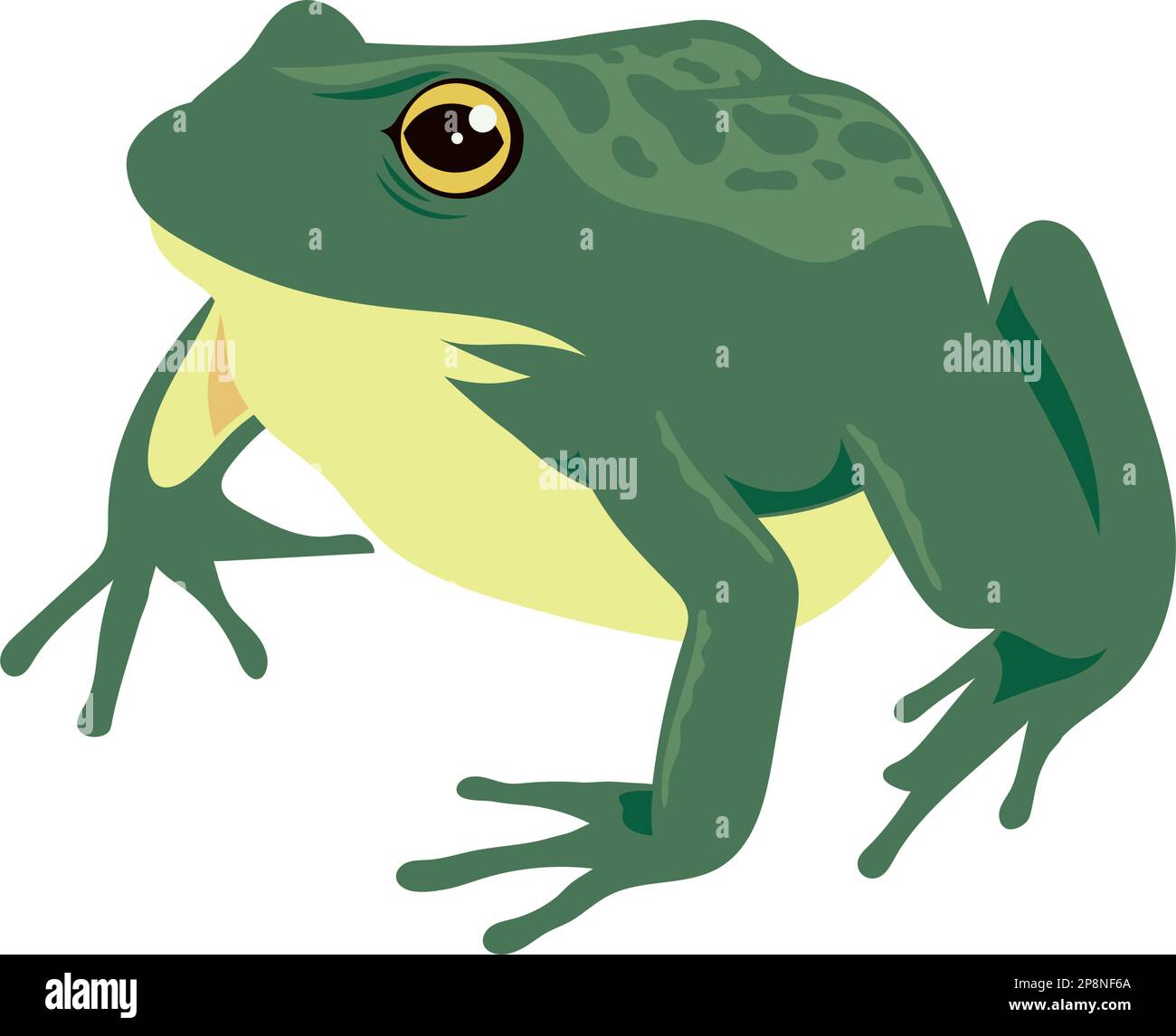 Bull frog vector Stock Vector Images - Alamy