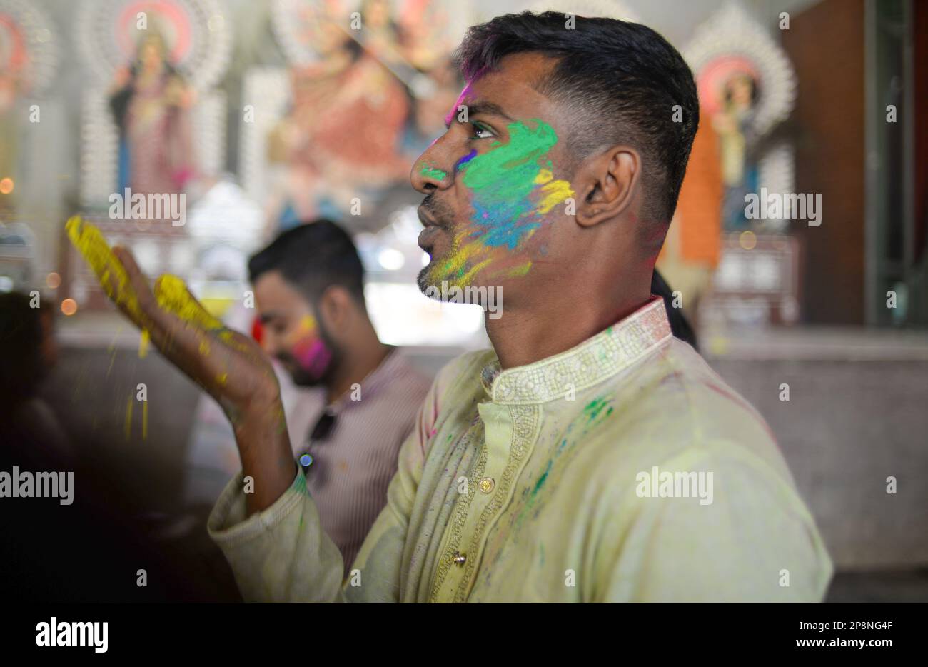 Cat in front of Light Stock Photo - Alamy