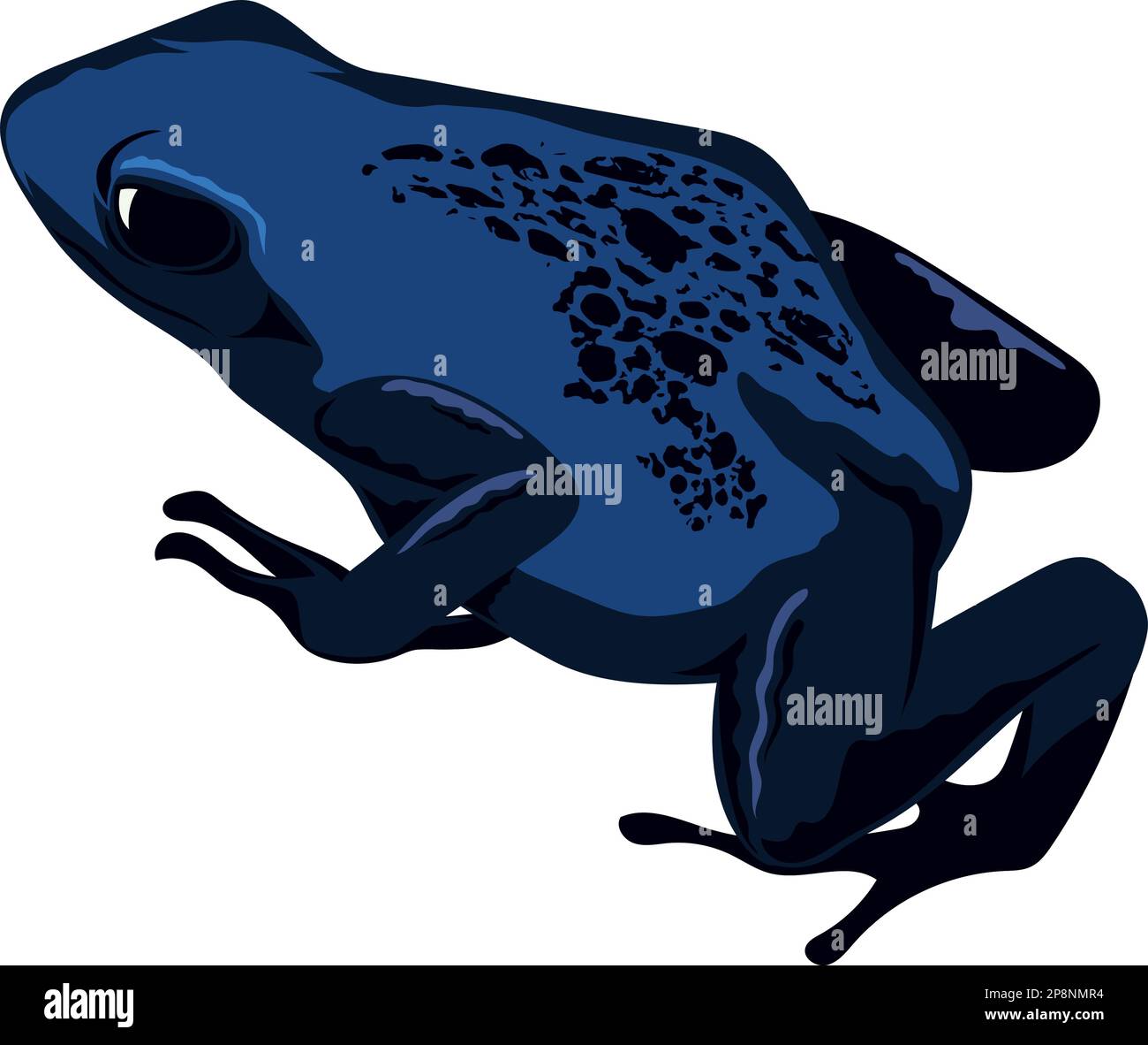 Froglet illustration hi-res stock photography and images - Alamy