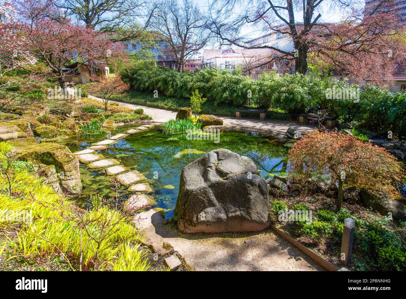 Rock (black) and stepping stones in pond (pool) water and small ...