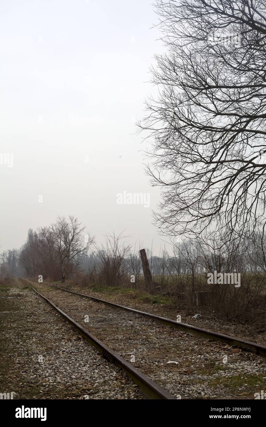 Abandoned railroad track bordered by trees and plant in the italian ...