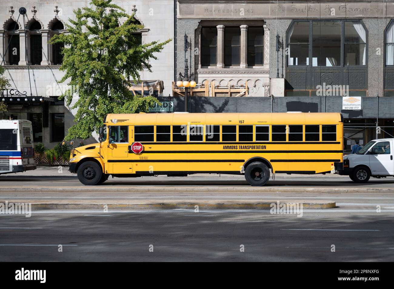 A yellow school bus driving through a busy street Stock Photo - Alamy