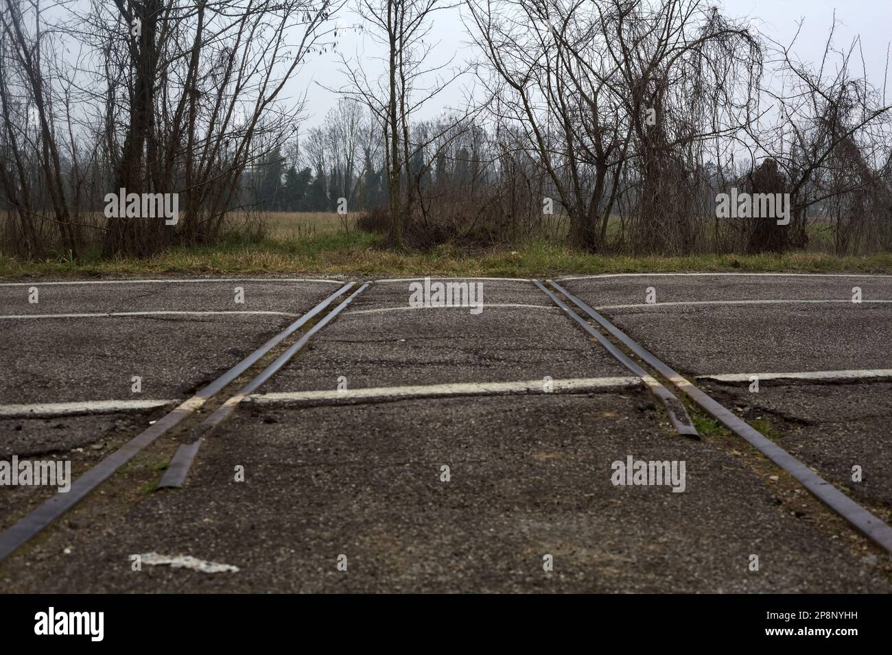 Tracks of an abandoned railroad crossing a road in the italian ...