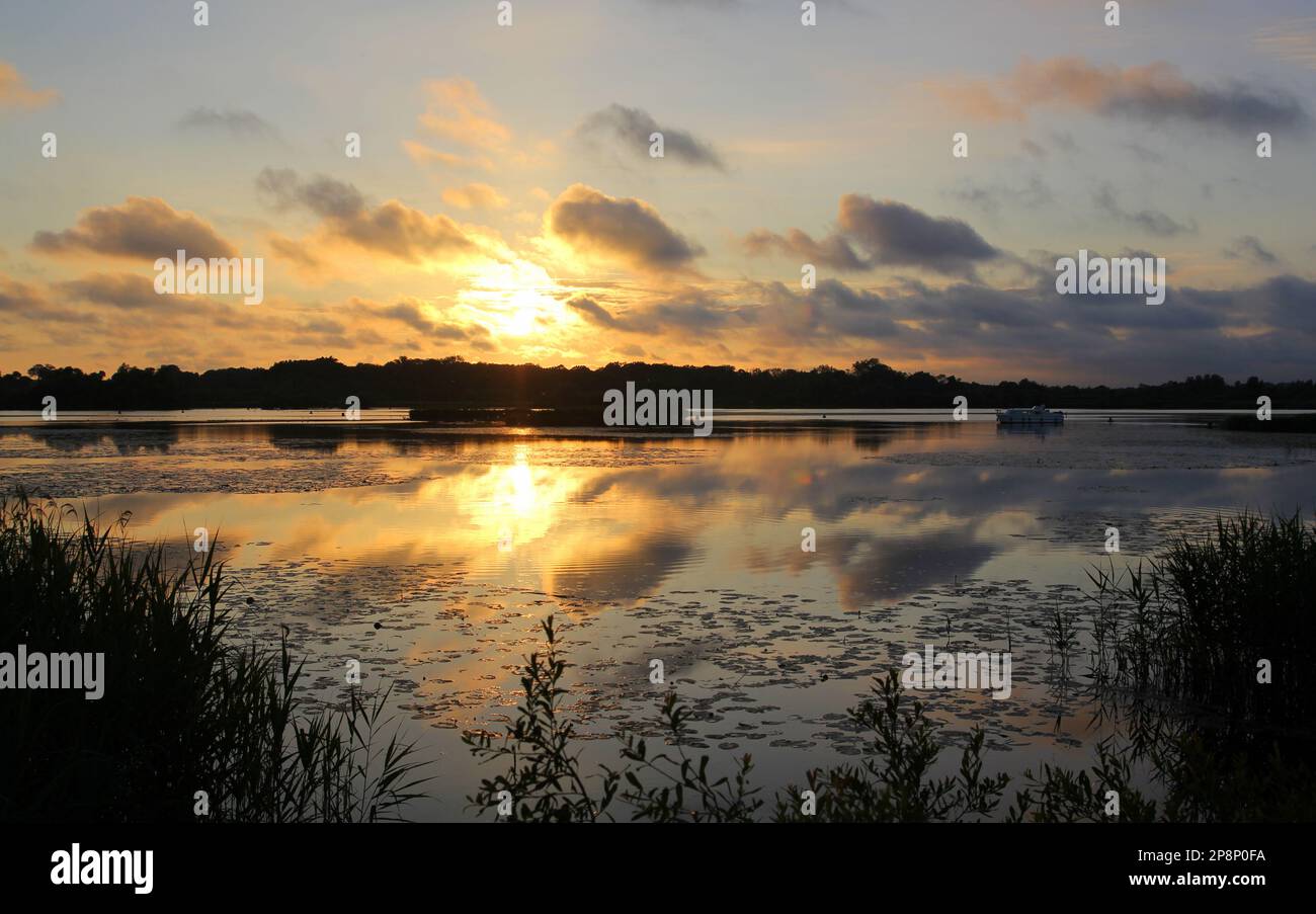 Rockland broad norfolk hi-res stock photography and images - Alamy