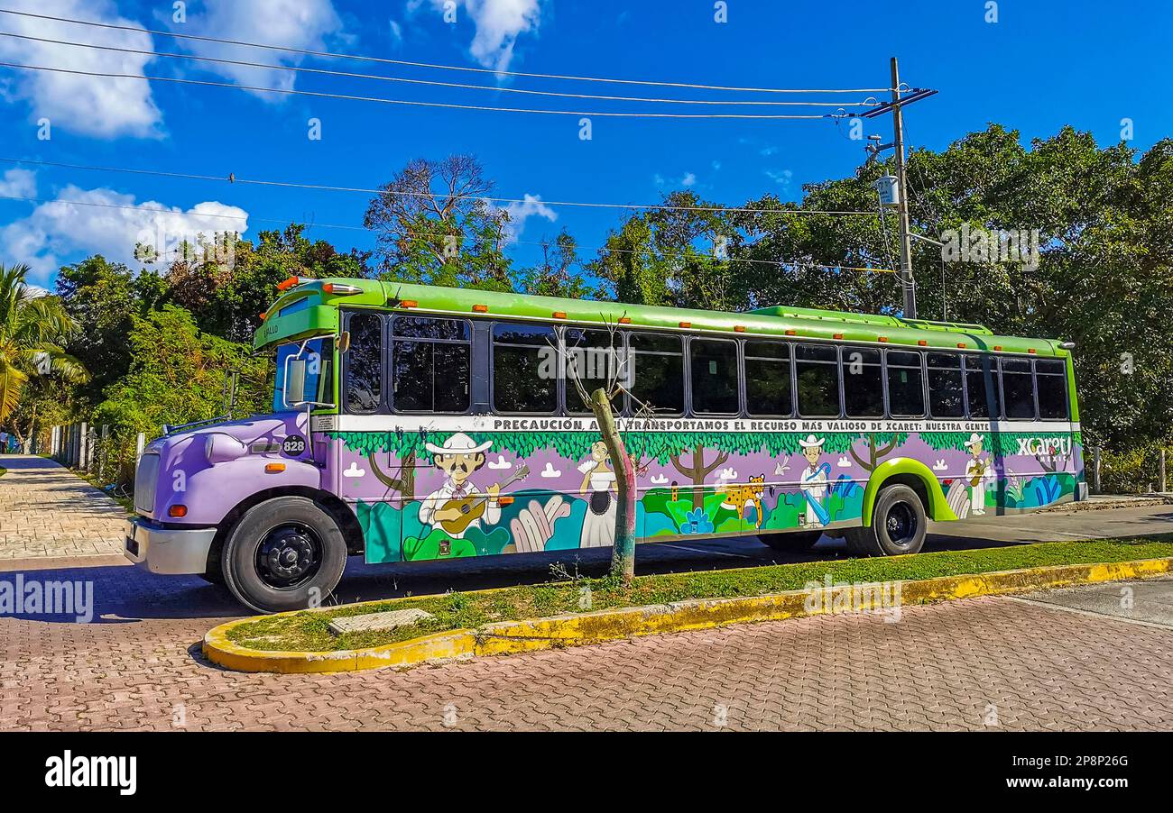 Playa del Carmen Quintana Roo Mexico 2021 Colorful pink blue green ...