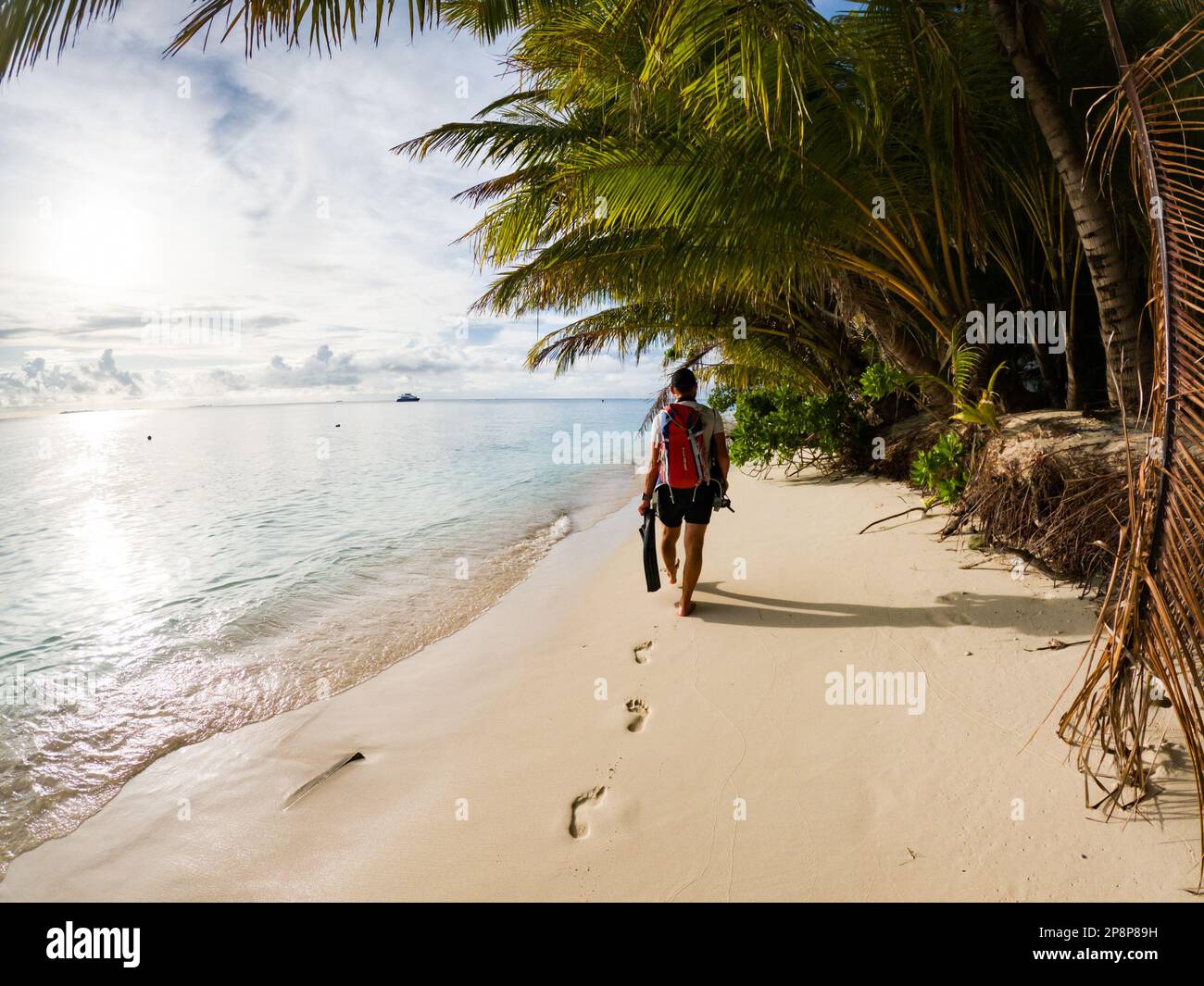 Silhouette snorkel fins hi-res stock photography and images - Alamy