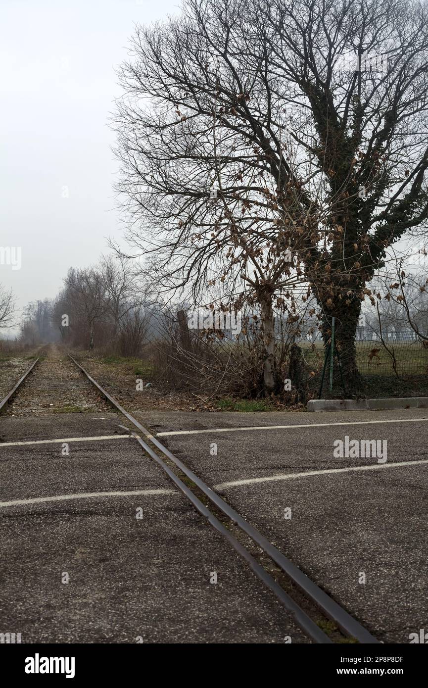 Tracks of an abandoned railroad crossing a road in the italian ...