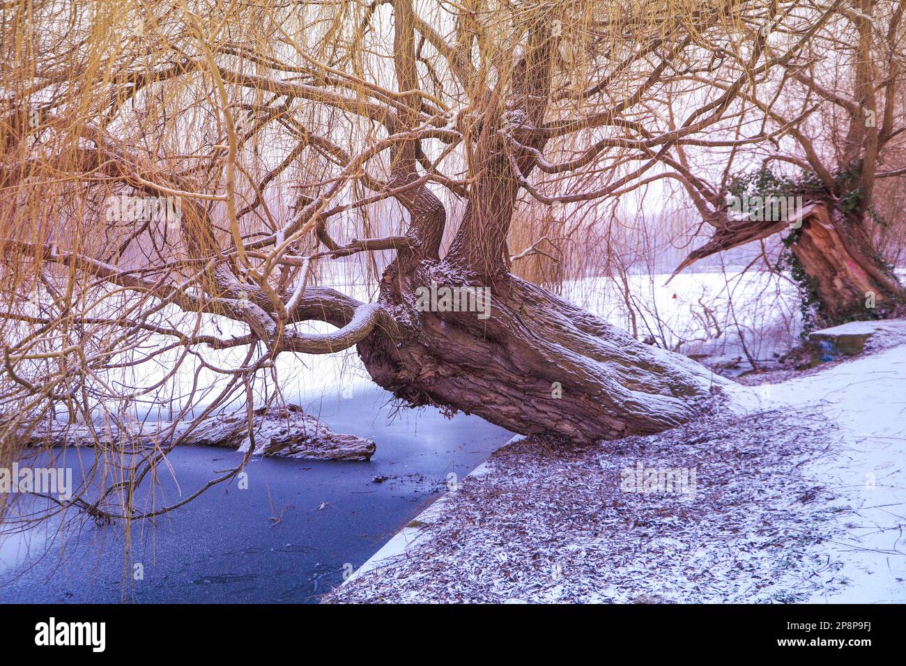 Hdr images hi-res stock photography and images - Alamy