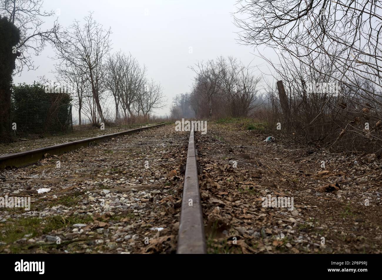 Abandoned railroad track bordered by trees and plant in the italian ...