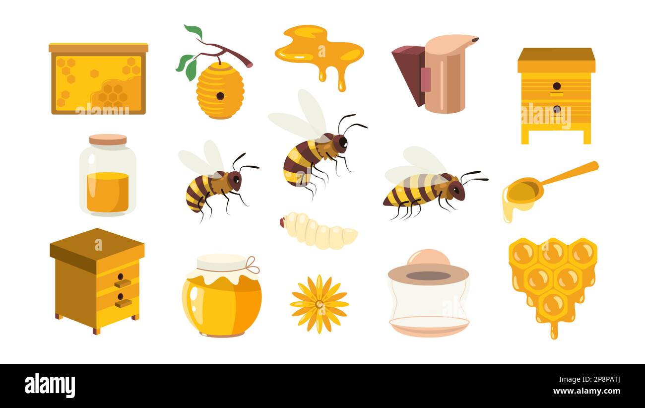 Honey cartoon collection. Beekeeping sweet elements, honeybee beeswax ...