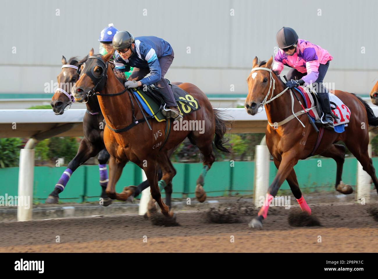 DUKE WAI (188), ridden by Jerry Chau Chun-lok, won the barrier trial ...