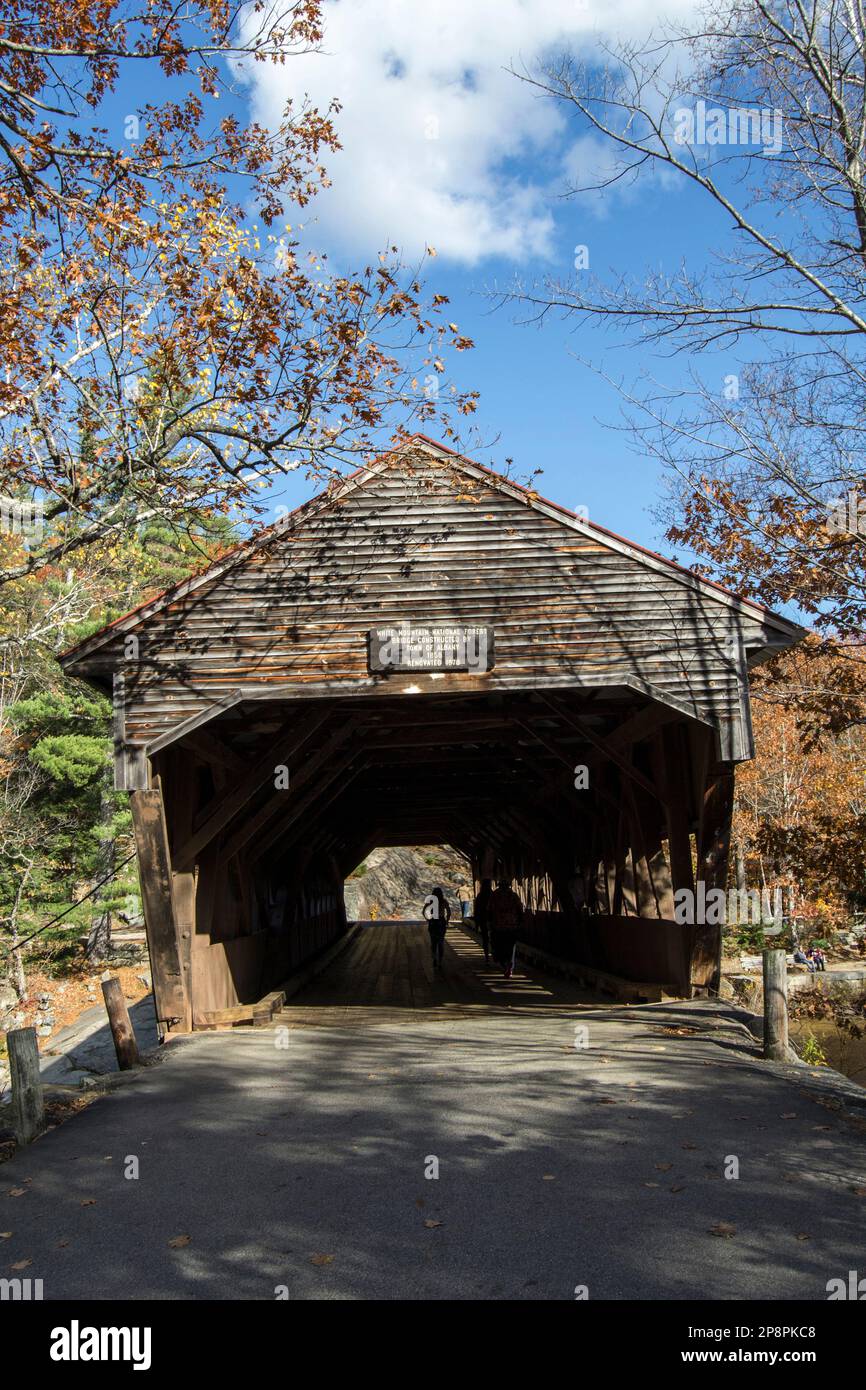 Entrance of the Albany Covered Bridge, circa 1858, Albany, New ...