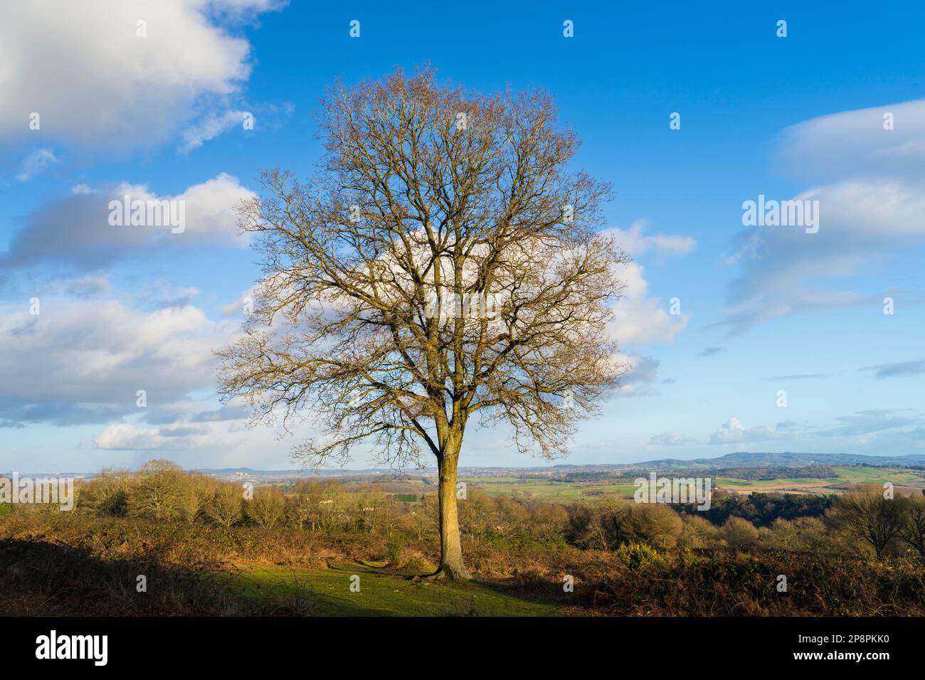Kinver edge hillfort hi-res stock photography and images - Alamy