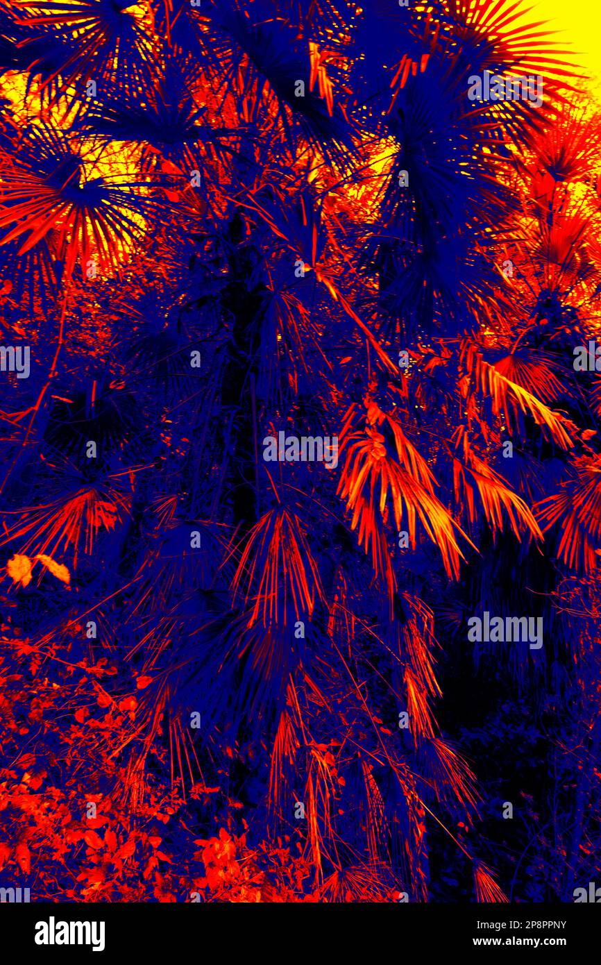 The Botanical Garden as a branch of the Garden of Eden. Illustration of ...