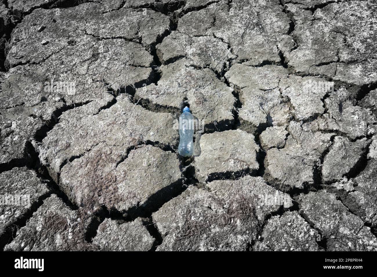 Drought and prairie littering. An old plastic bottle on the cracked ...