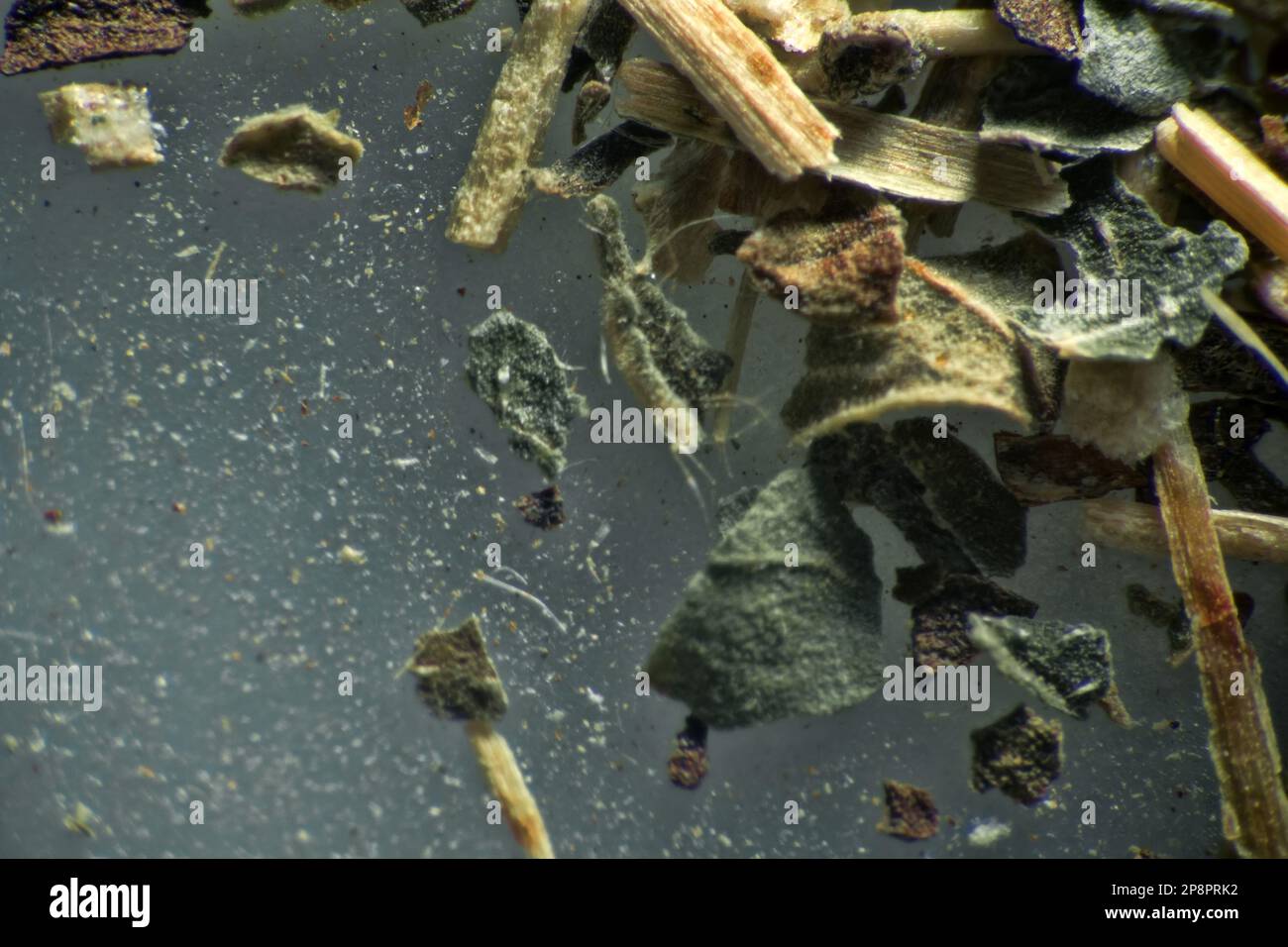 Herb repertory (dry vulnerary plants), officinal mixture for herbal tea ...
