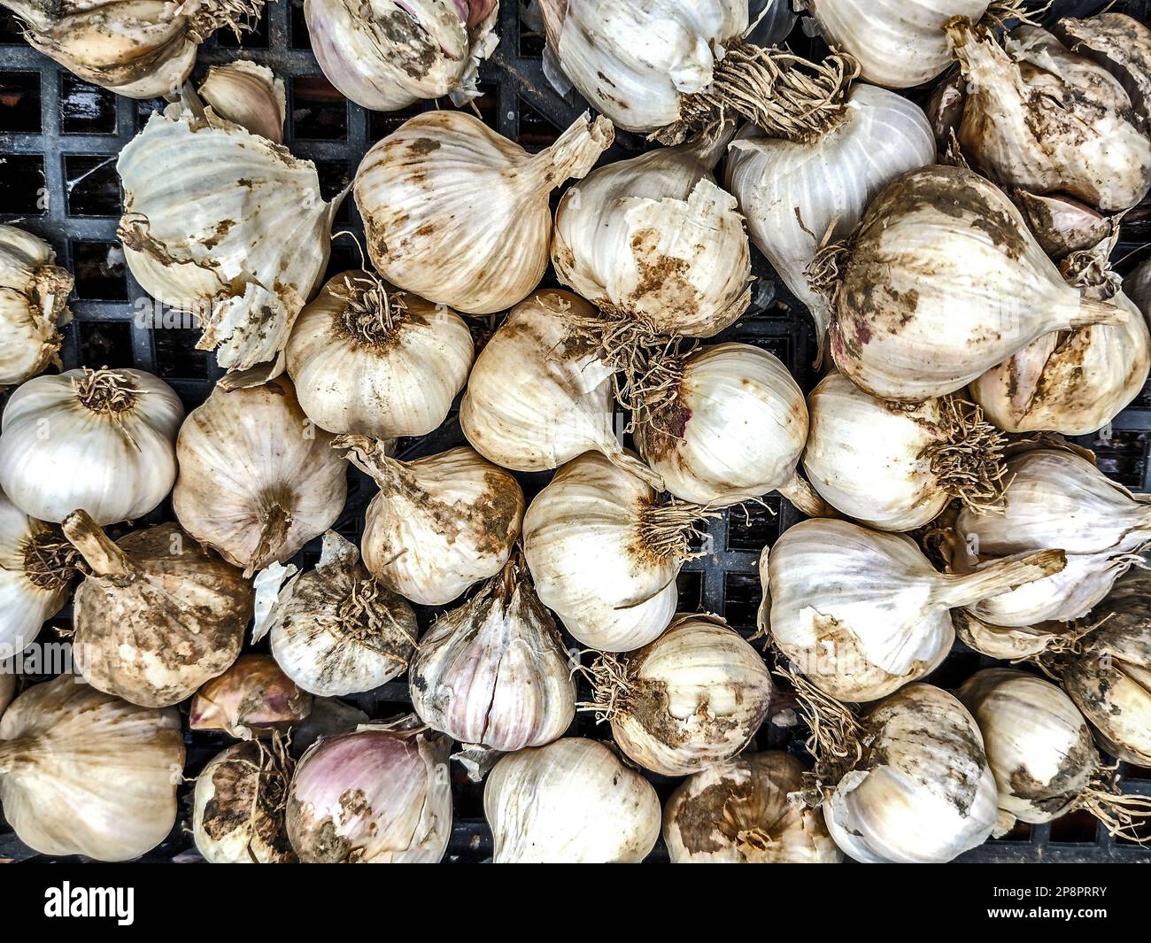 Pieces of garlic hi-res stock photography and images - Alamy