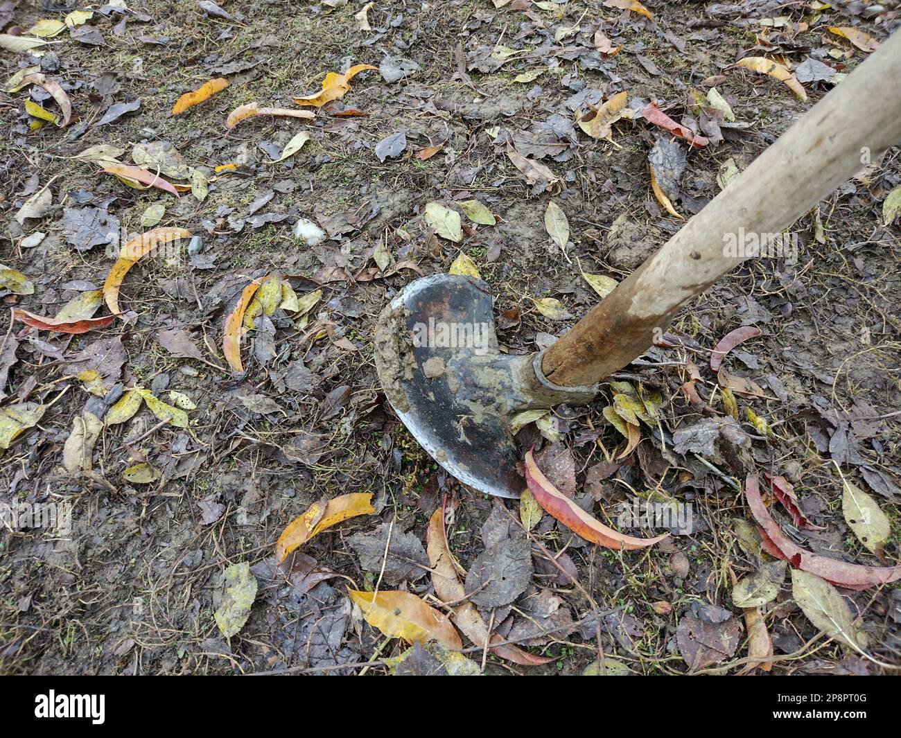 dig on the ground at farm Stock Photo - Alamy