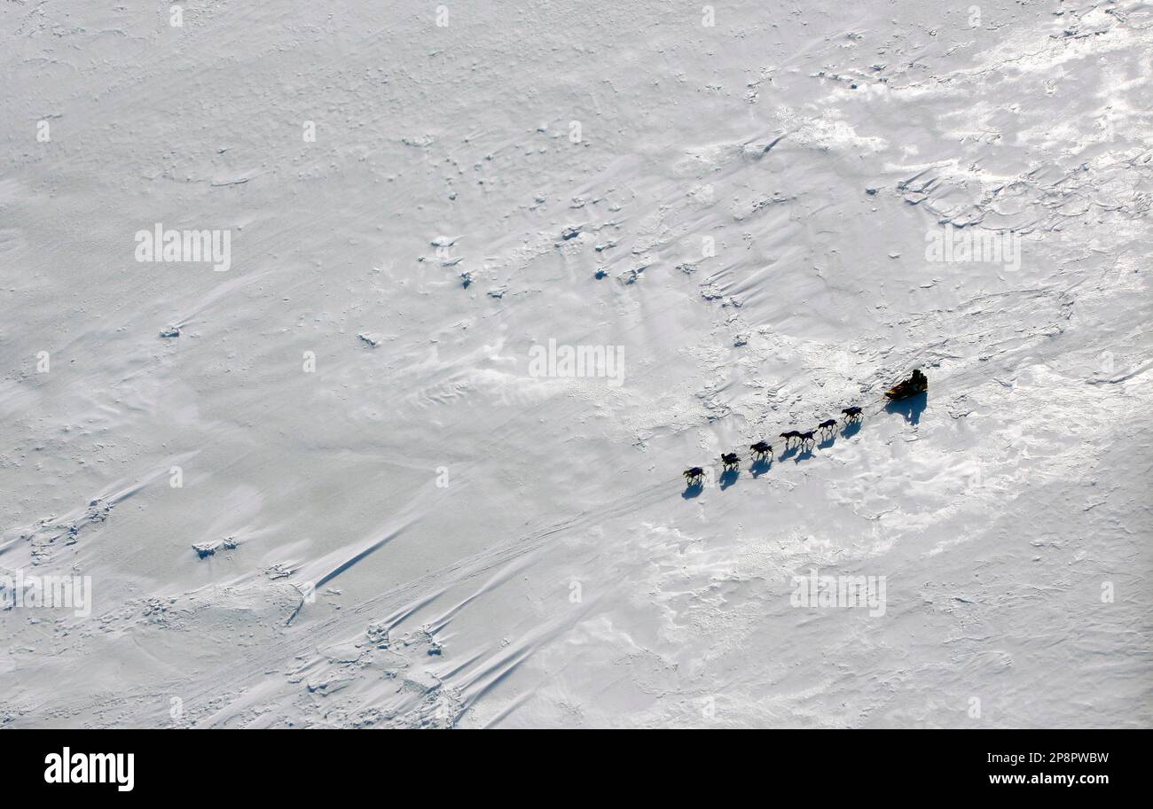 The 2004 Iditarod champion Mitch Seavey, drives his team across Norton ...