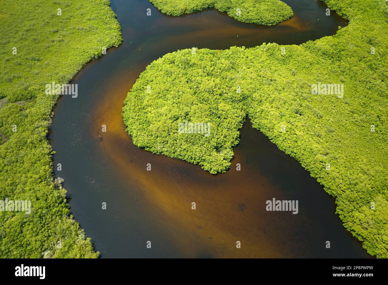 Aerial view of Florida wetlands with green vegetation between ocean ...