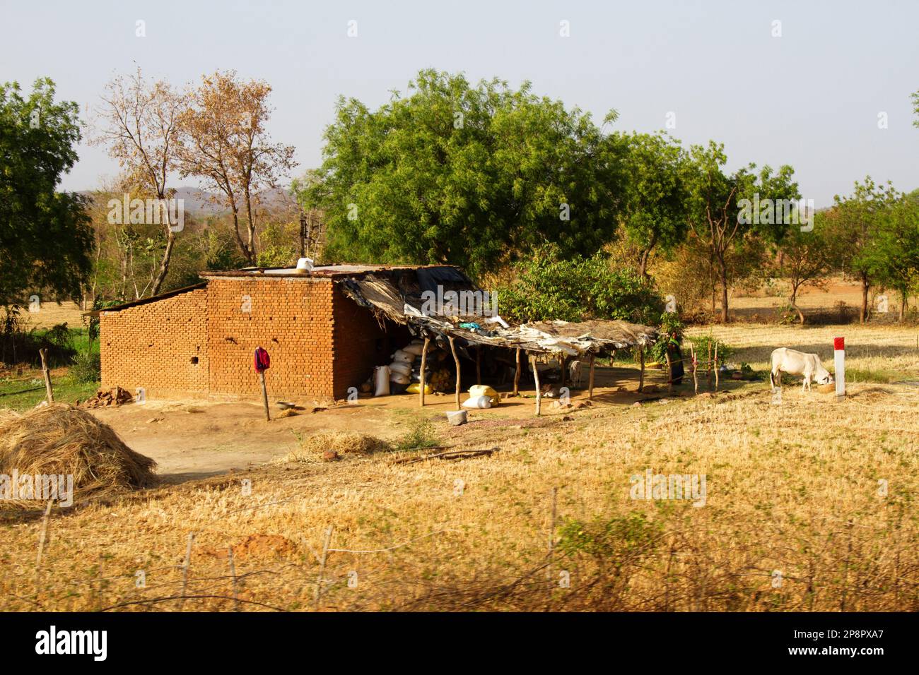 Poor farm. Madhya Pradesh, central India Stock Photo - Alamy
