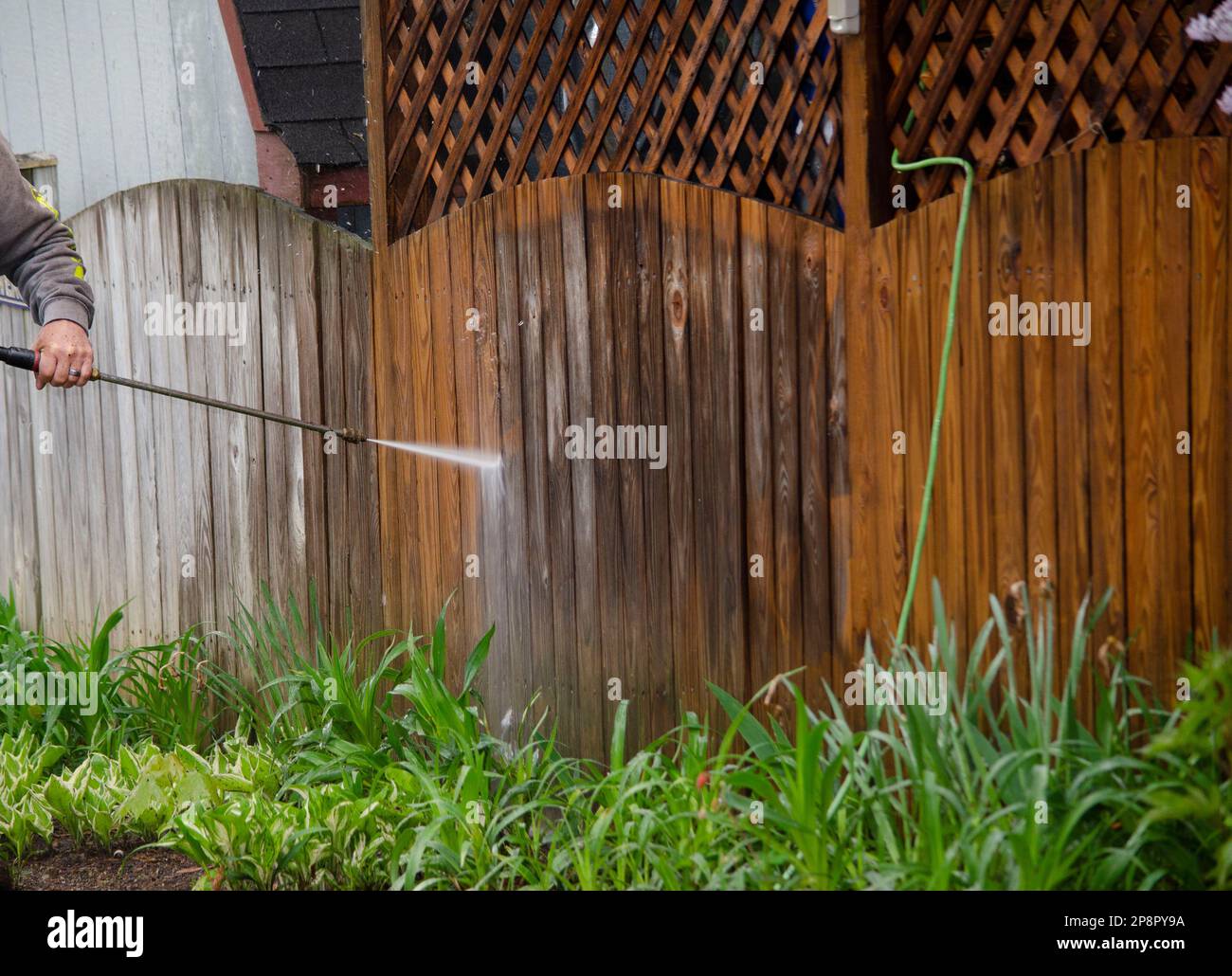 power washing a wooden fence shows the difference between Stock Photo ...