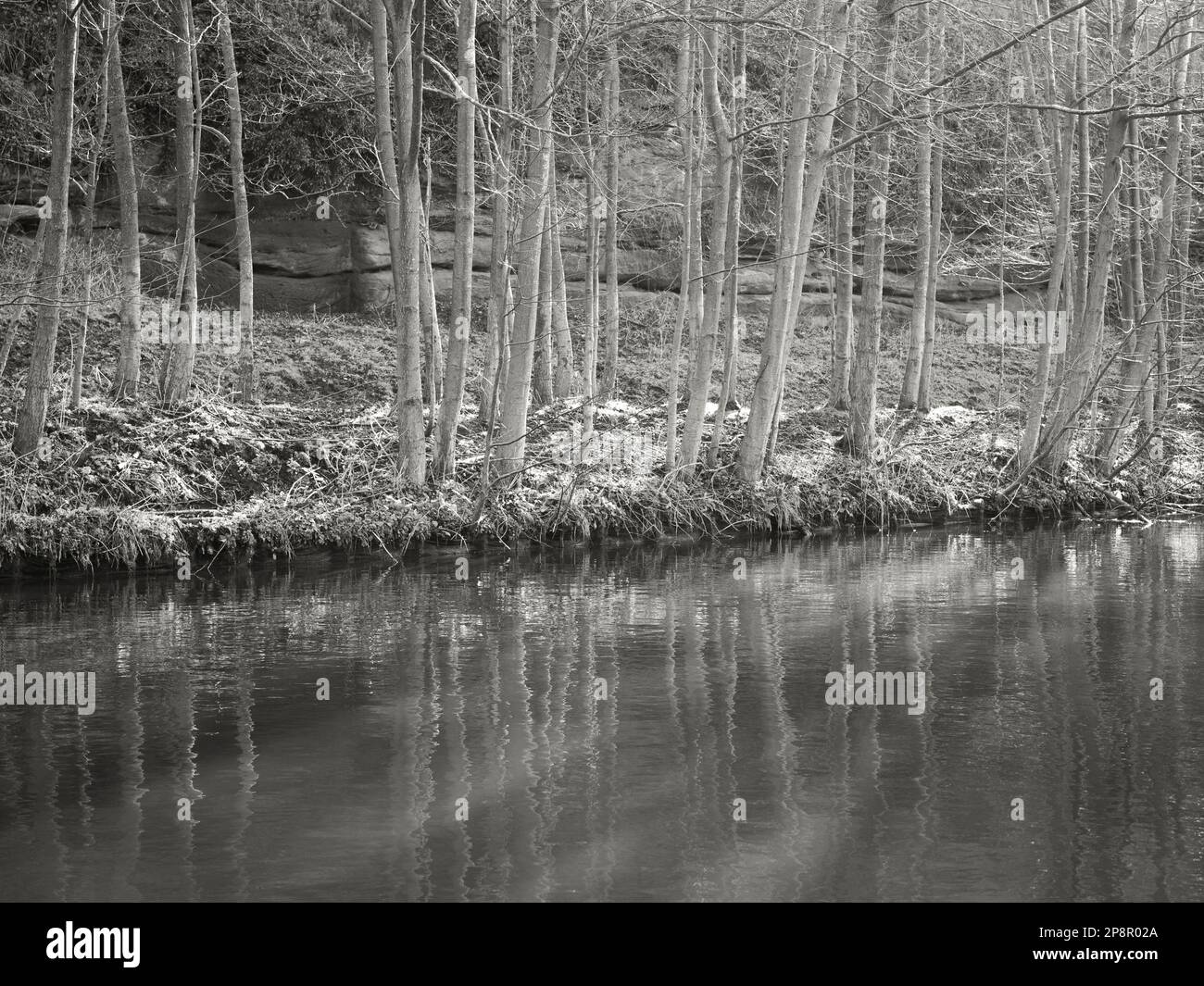 England, West Midlands, Kinver. Riverbank trees reflected on the ...