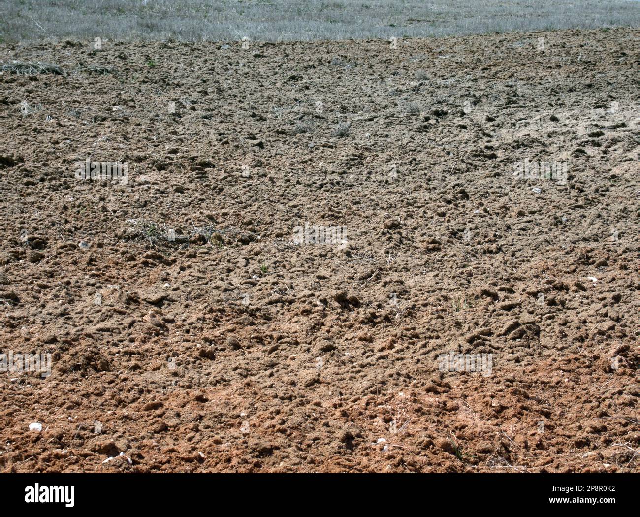 Fallow, chestnut soil, humus-accumulated horizon Stock Photo - Alamy