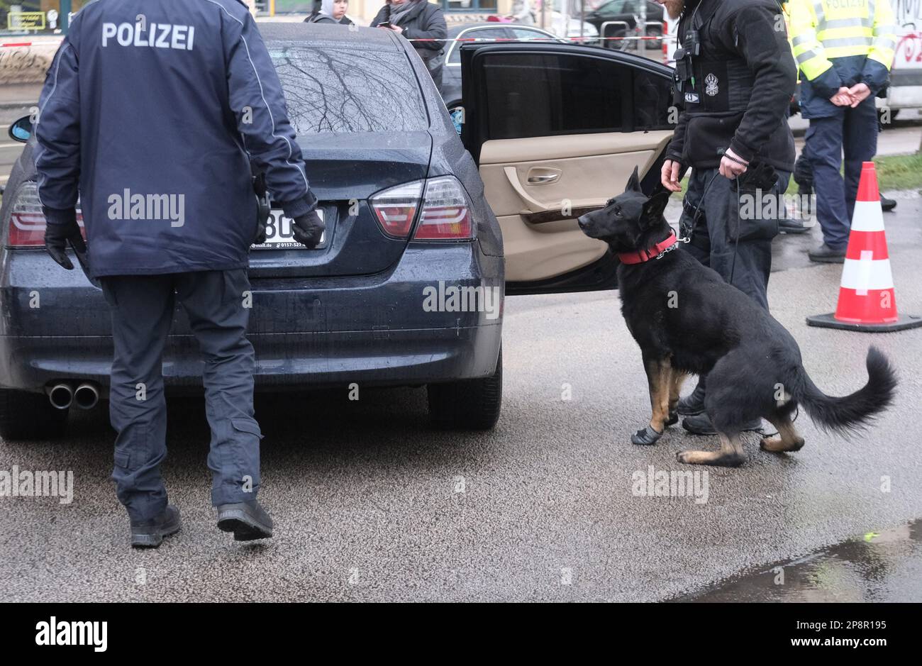 Leipzig, Germany. 09th Mar, 2023. A police narcotics dog in action on ...