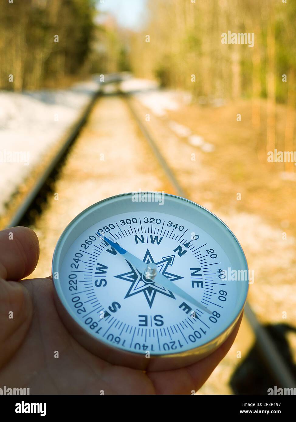 Spring calls for a journey. A forest road and a hiker's hand with a ...