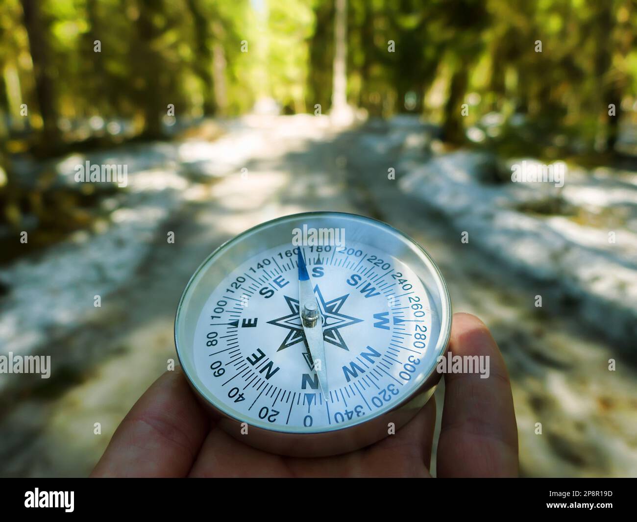 Spring calls for a journey. A forest road with melting snow and a ...