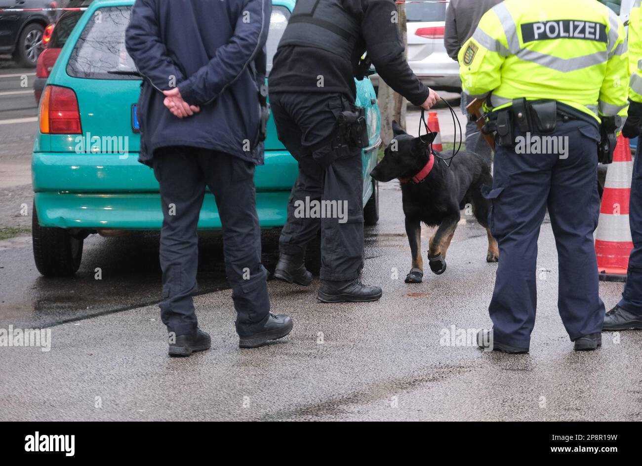 Leipzig, Germany. 09th Mar, 2023. A police narcotics dog in action on ...