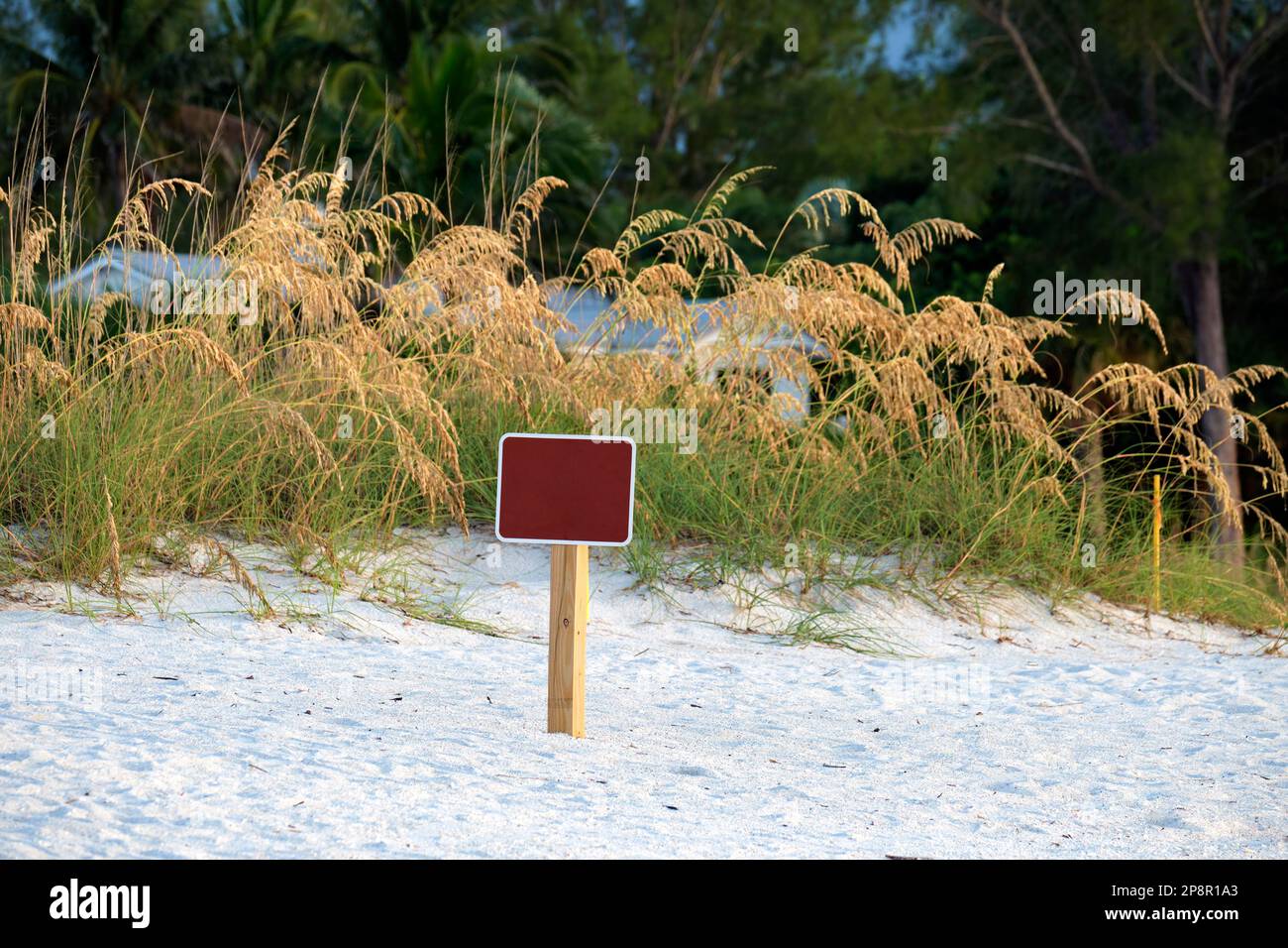 Empty signboard with copy space on seaside beach with small sand dunes ...