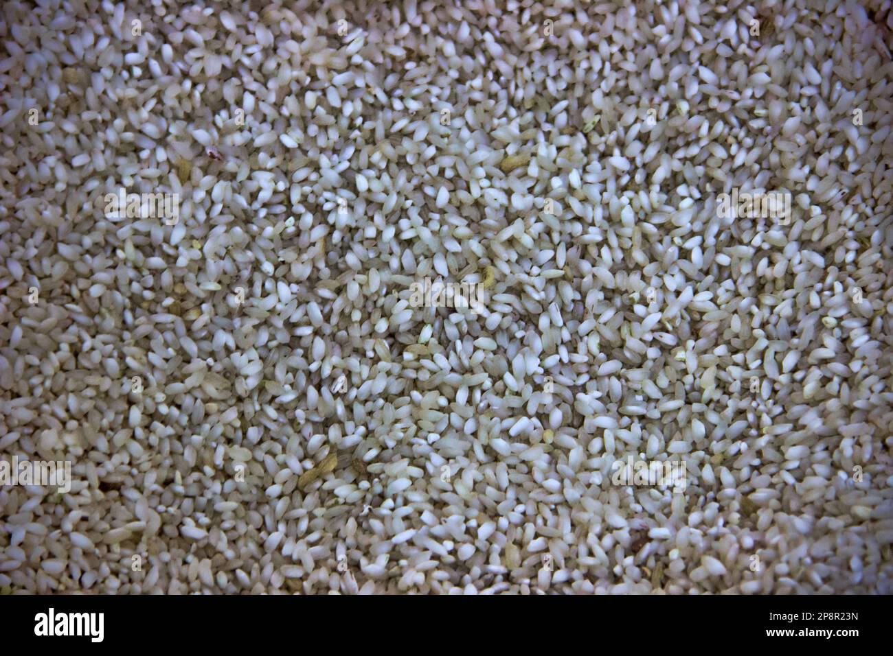 Rice background. Varieties of Sri Lankan rice Stock Photo - Alamy