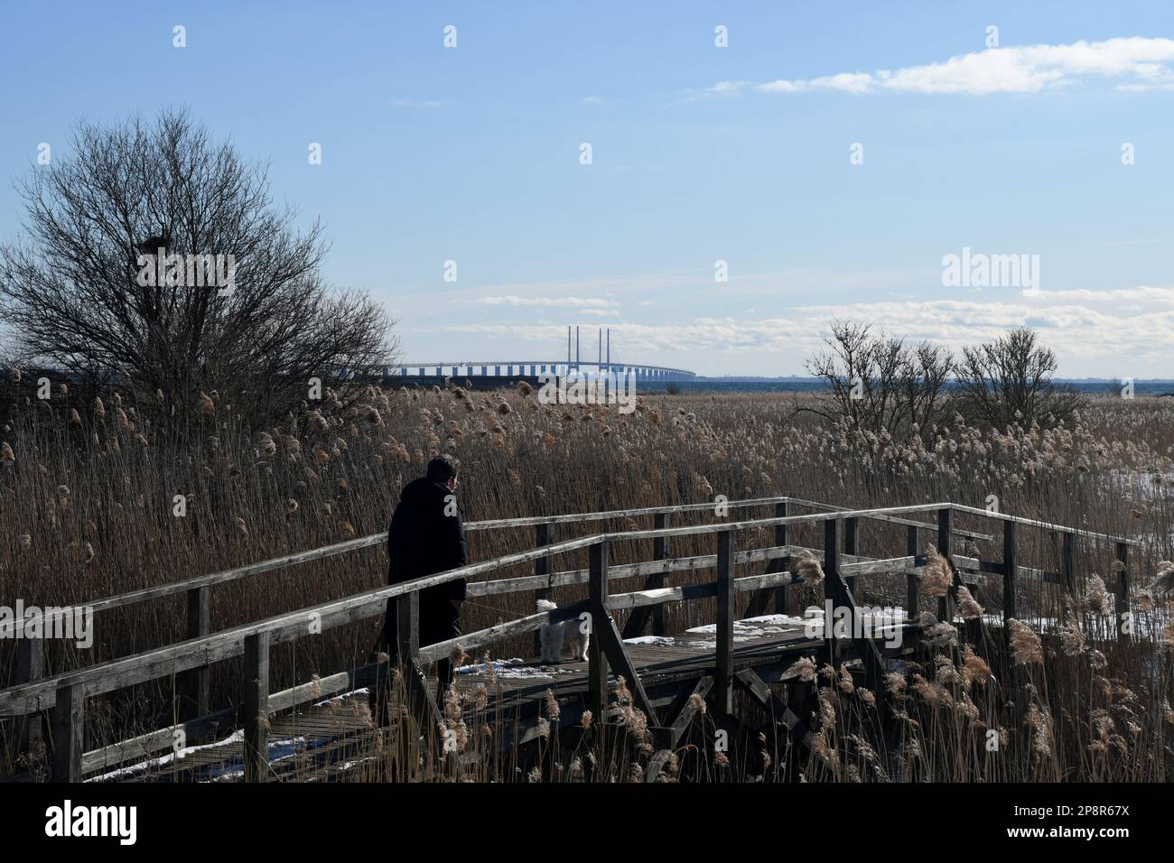 DragorDenmark/09 March 2023/Oresdund link bridge between Denmark ...