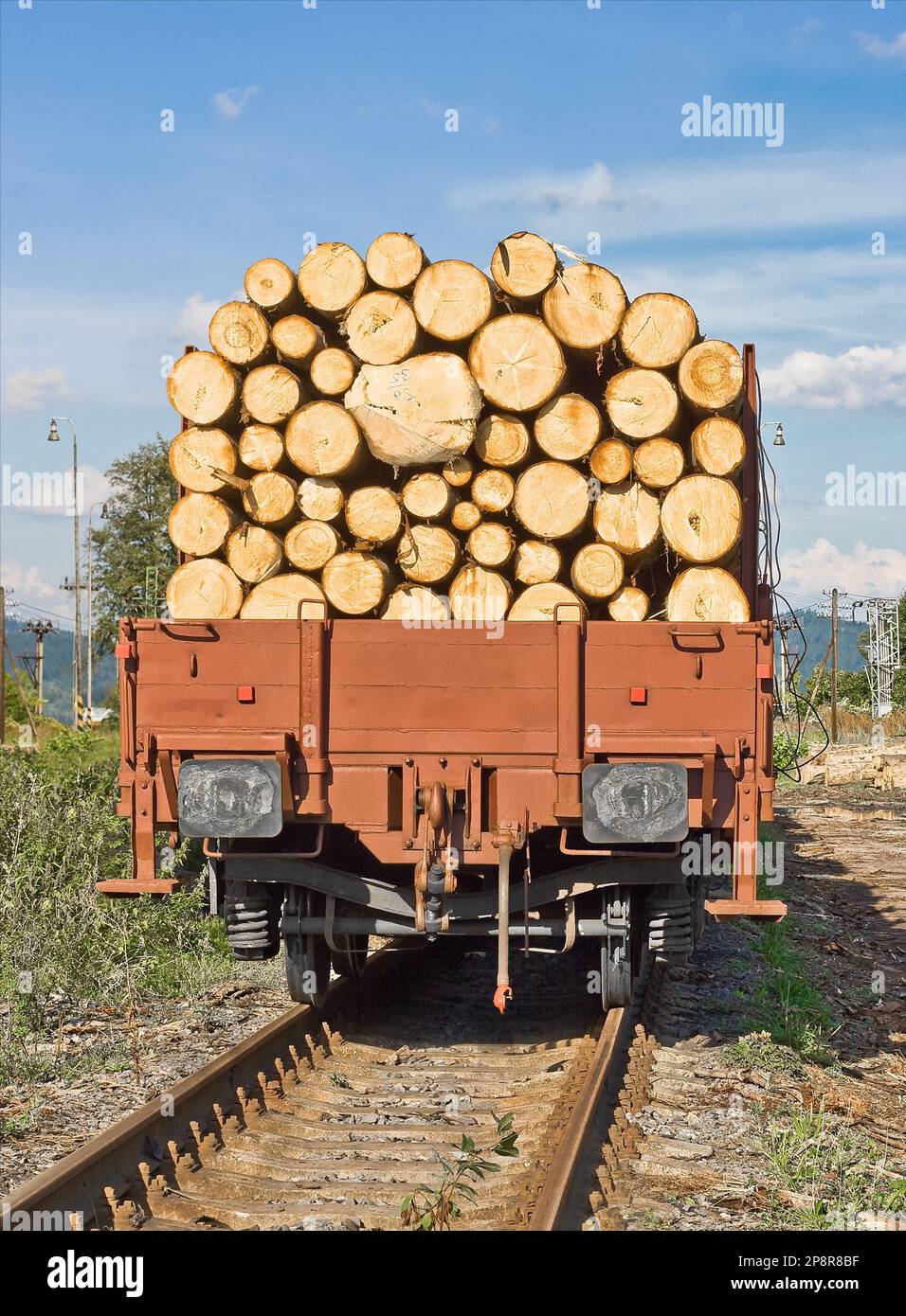 Transporting wooden logs Stock Photo - Alamy
