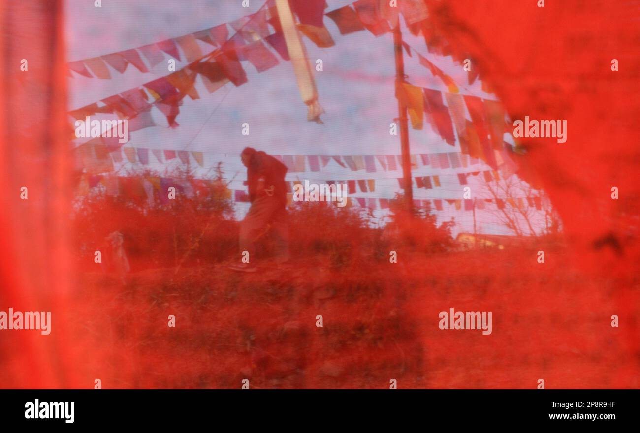 An exile Tibetan, seen through a prayer flag, puts prayer flags on a ...