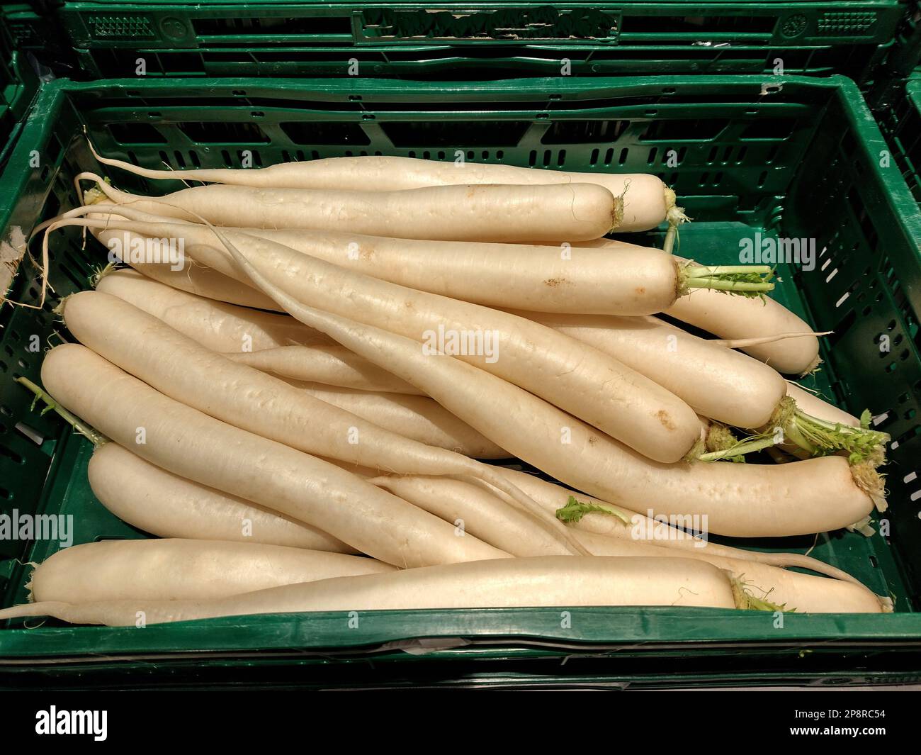 Daikon radish - food, vegetable Stock Photo - Alamy