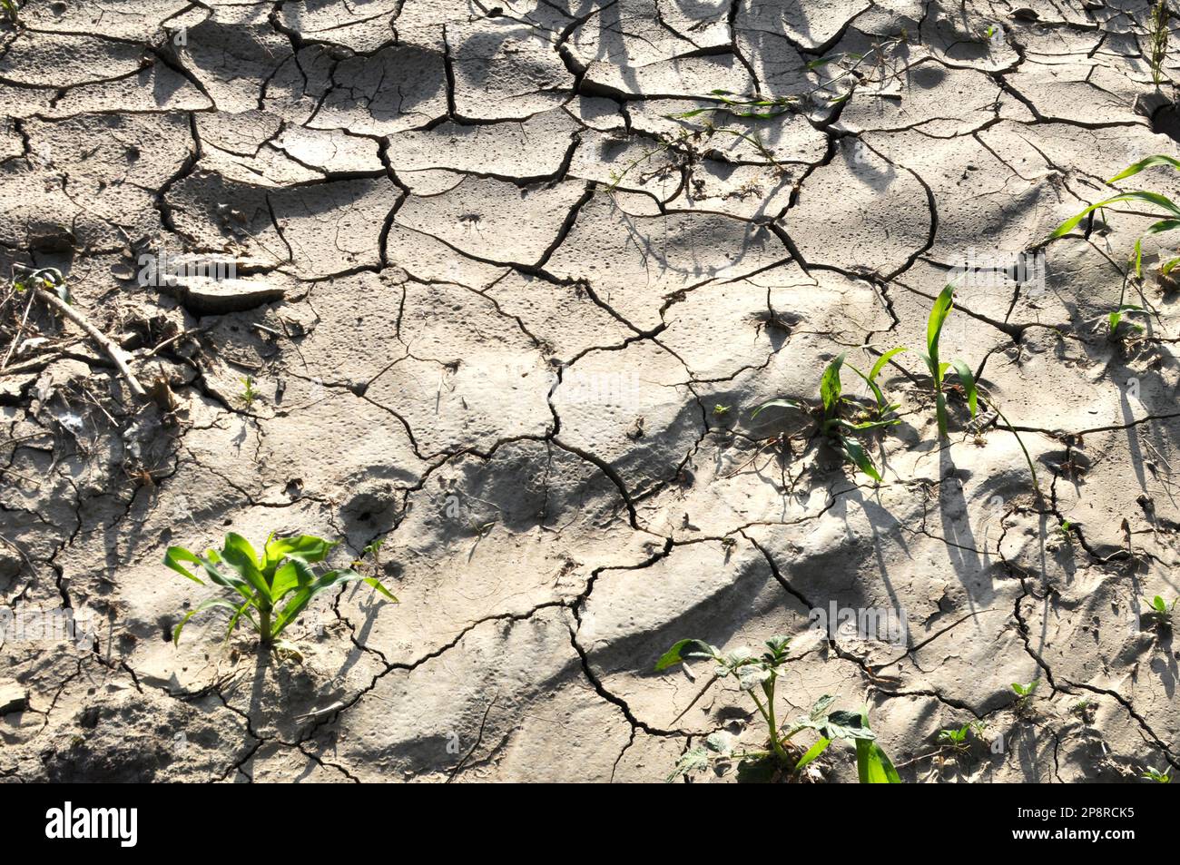 Ground heat hi-res stock photography and images - Alamy