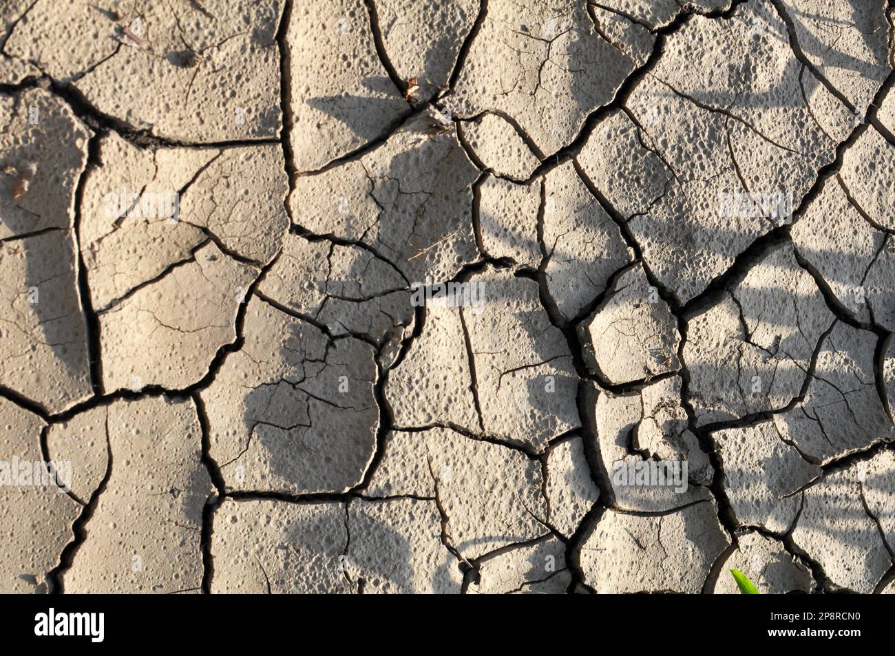 Arid and fertile hi-res stock photography and images - Alamy