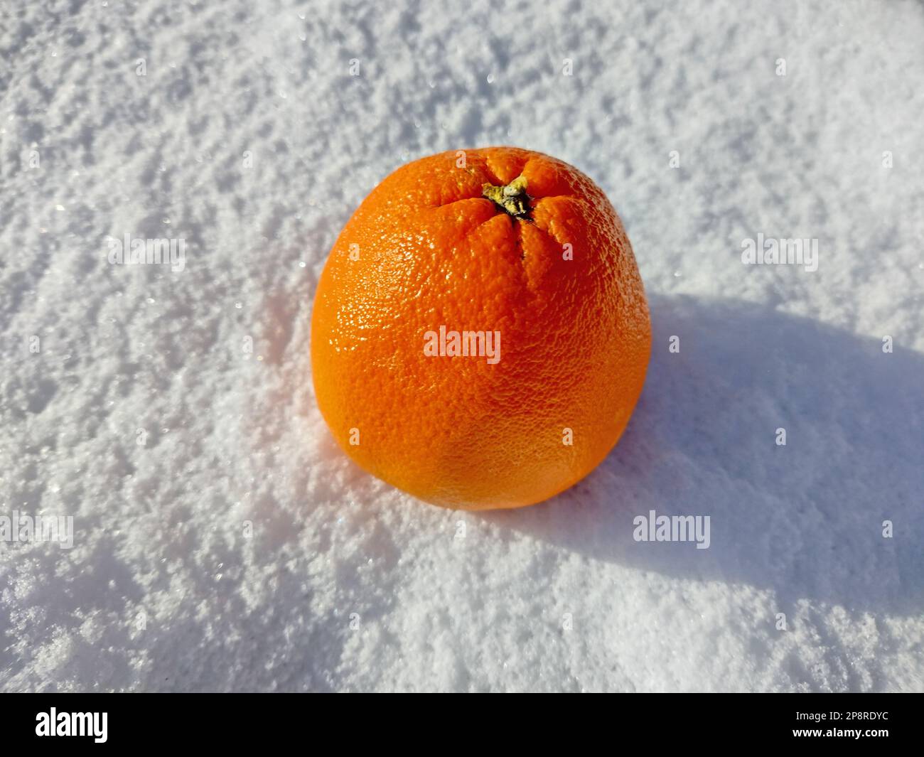 Snow fruit hi-res stock photography and images - Alamy