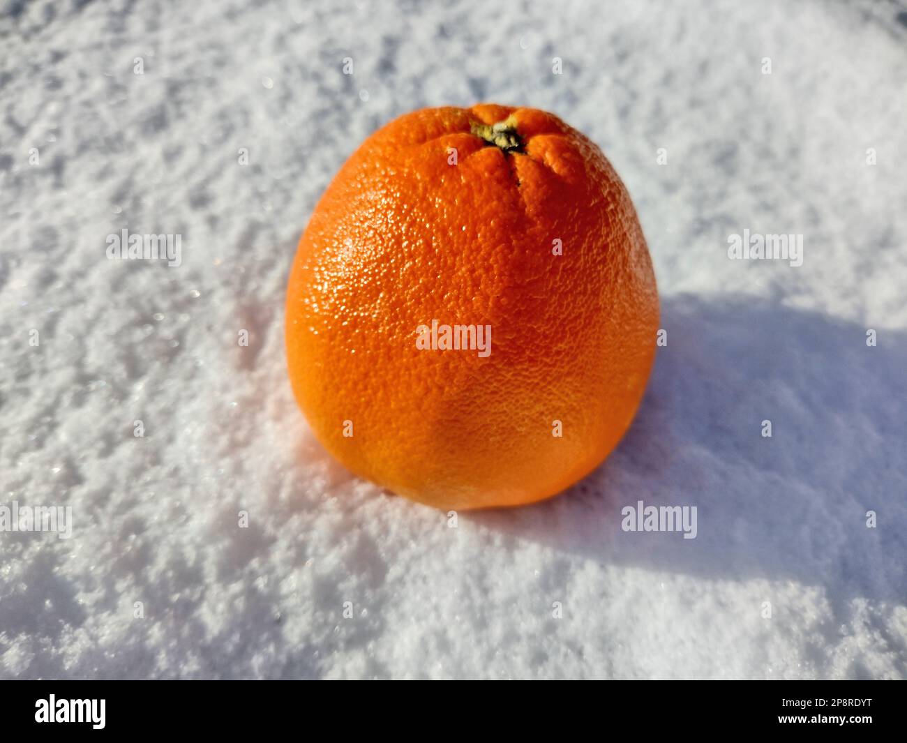 Snow fruit hi-res stock photography and images - Alamy
