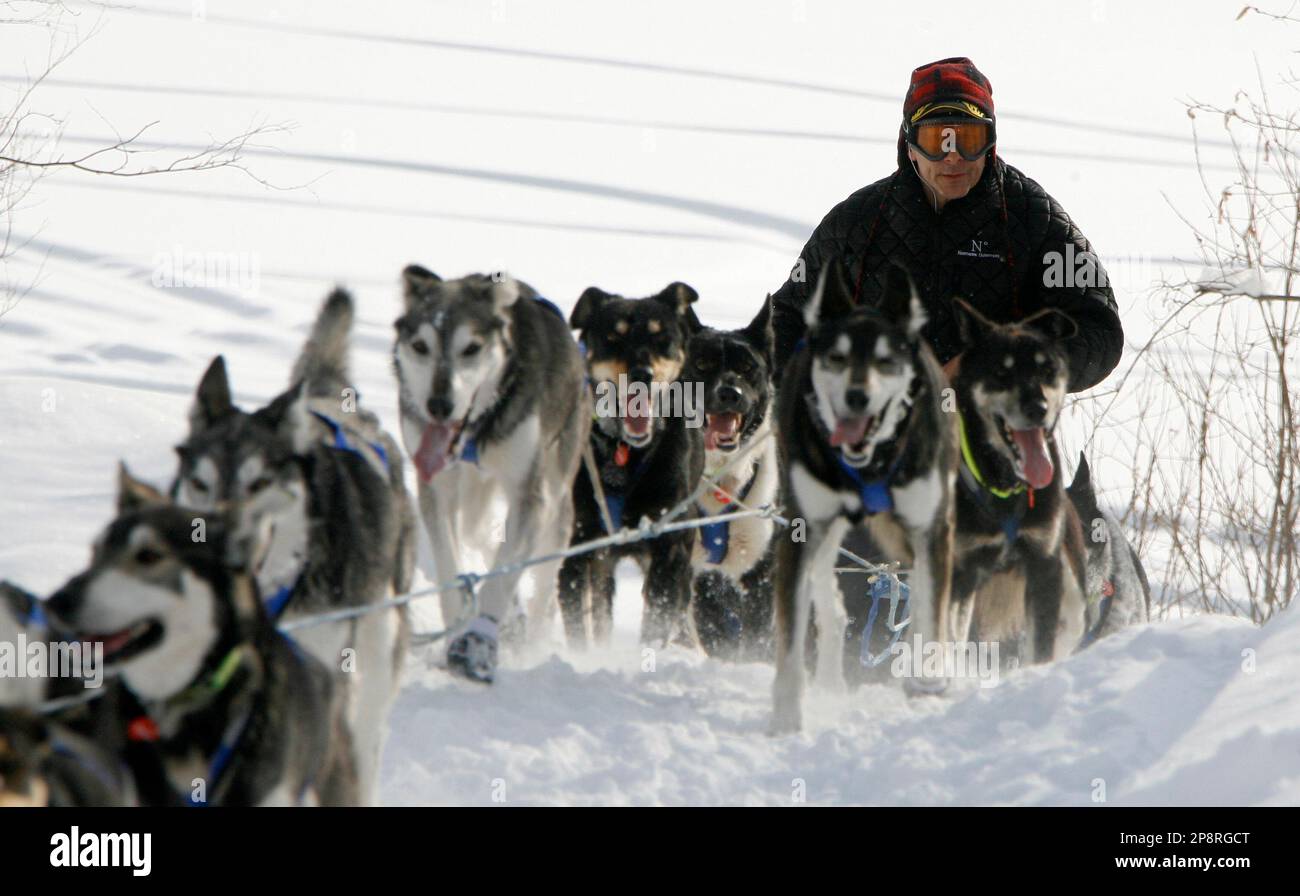 Four-time Iditarod champion Martin Buser drives his team off of the ...