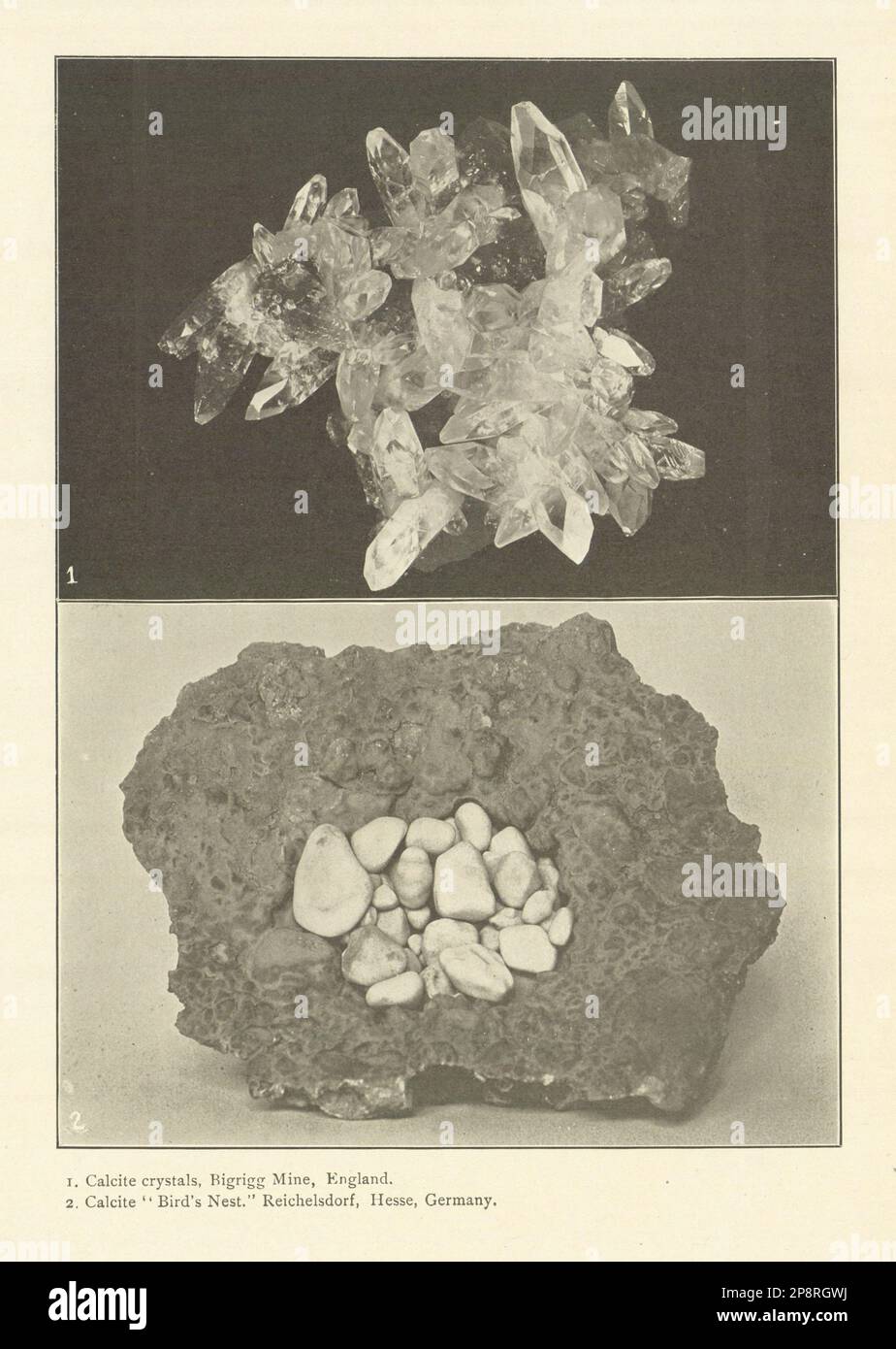 Calcite bird nest hi-res stock photography and images - Alamy