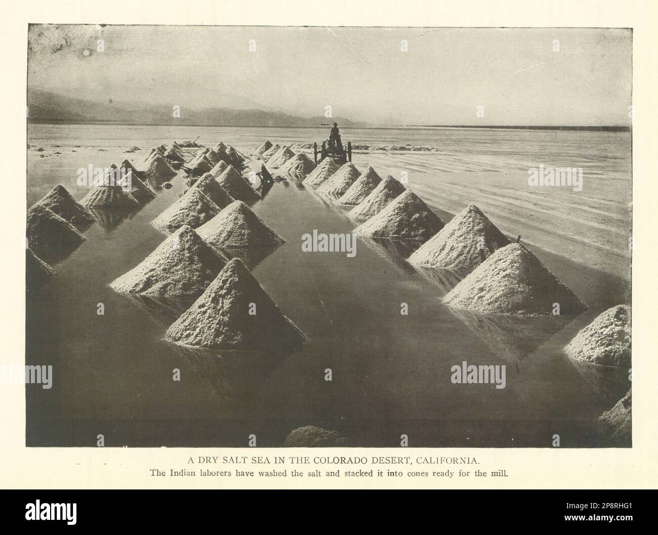 A DRY SALT SEA IN THE COLORADO DESERT, CALIFORNIA 1907 old antique ...
